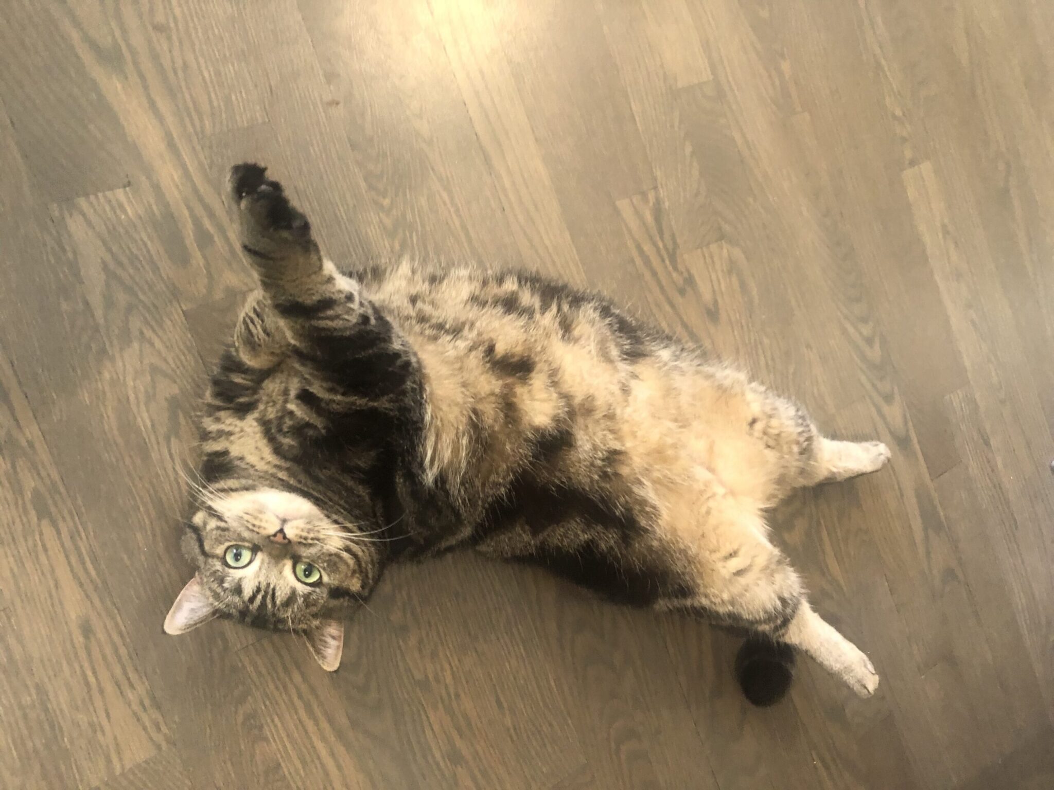 Who We Are: Carrie Griffin Basas, Esq., M.Ed. - CoDesign Works PLLC